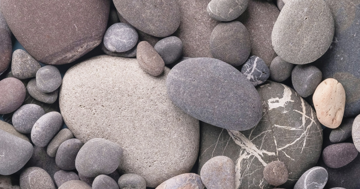 Full Vision Capital - Team